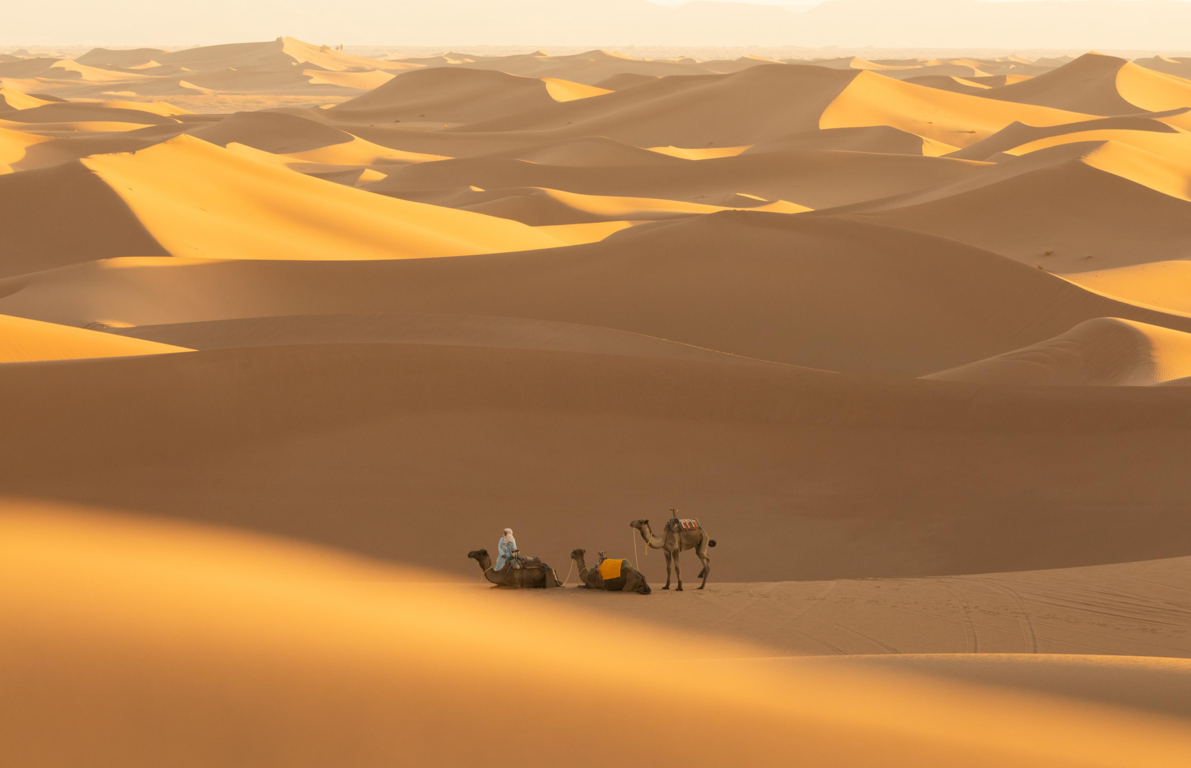 Rêvez, explorez, voyagez avec Terres d’Aventure