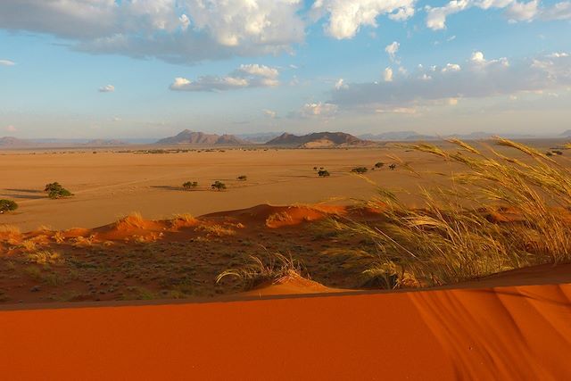 Trek Namibie - Safari Namibie - Randonnée désert du Namib - 14 jours
